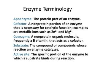 Enzymes Pptx