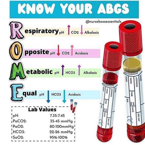 Know Your Abgs Medizzy
