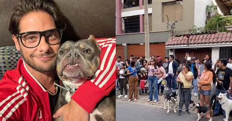 Andrés Wiese Pide Al Público No Cometer “actos De Vandalismo” En