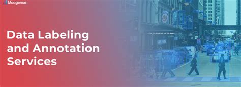 The Essential Guide To Data Labeling And Annotation Services Macgence