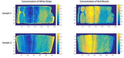 Concentration Maps Obtained From Mcr Download Scientific Diagram