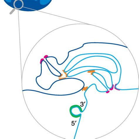 Summary Of Various Types Of Interactions That Determine The Spatial Download Scientific Diagram