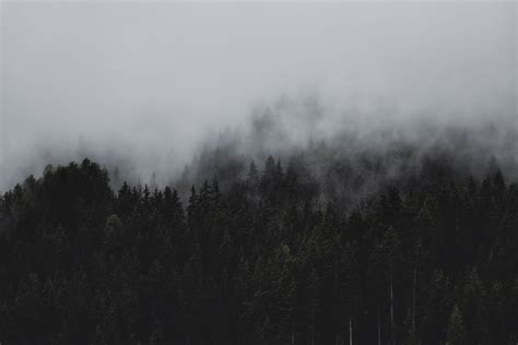 Black And White Pc Wallpapers 4k Hd Backgrounds On Wallpaperbat