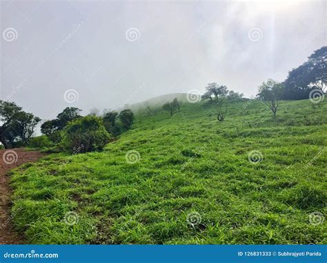 Lush Green Grasslands On The Hills Of Kodachadri Stock Image Image Of Scenic Hills 126831333