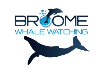 Cruise On Snubfin Dolphin Tours In Broome Broome Whale Watching
