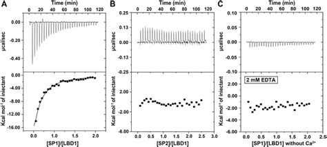 Itc Assay Of The Binding Of Lbd1 With Sp1sp2 The Thermogram And