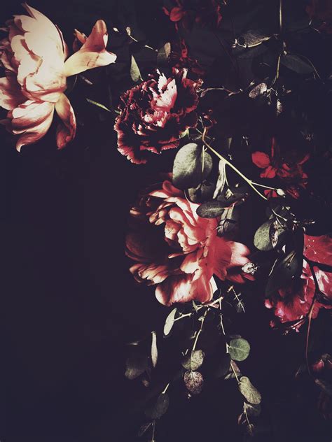 Aesthetic Flower Dark Wallpapers Top Free Aesthetic Flower Dark