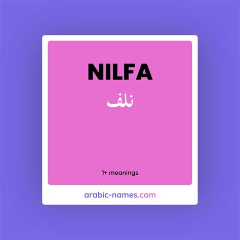 Nilfa نلف Meaning In Arabic And English Arabic Names