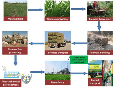 Biomass Supply Chain Management At Best Price In Mansa Eton Biomass Energy