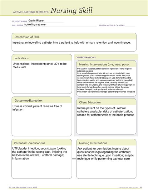 Nursing Process Paper Example Foley Care Plan Risk For Infection 2