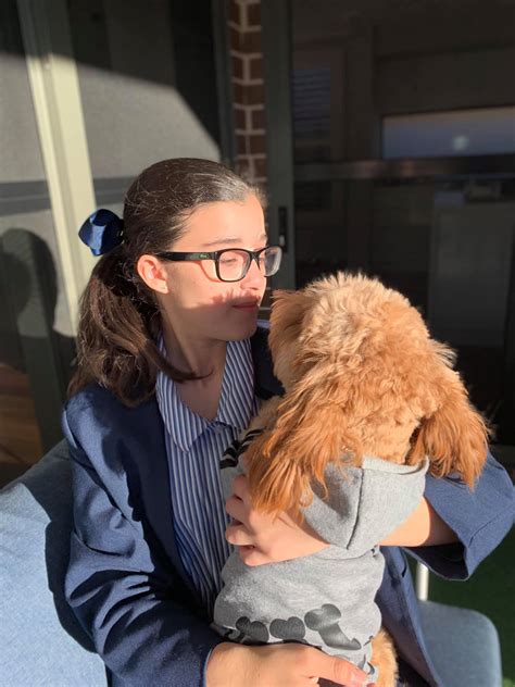 ️🐶 Rubybthecavoodle Ruby B The Cavoodle