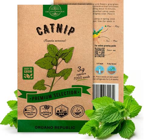 28000 Catnip Seeds For Planting Grow Your Own Catnip To 28000 Catnip Seeds For Planting Grow Your Own Catnip To