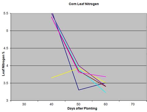 Tissue Testing In Corn Florida Crops