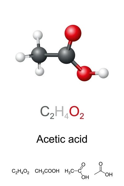 Lewis Structure Ch3cooh