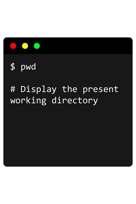 linux command pwd what does pwd do in terminal