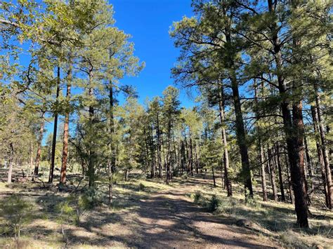 Apache Peak Road New Mexico Gps Trail Map Conditions And Difficulty Onx Offroad