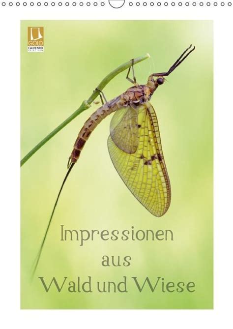 Rolf Schnepp Impressionen Aus Wald Und Wiese Wandkalender 2018 Din A3 Hoch Diverse Jpc De