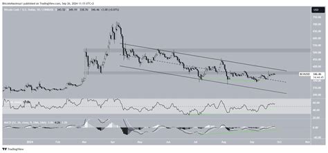 Bch Price Steady At 300 — Heres What Could Drive It To 500