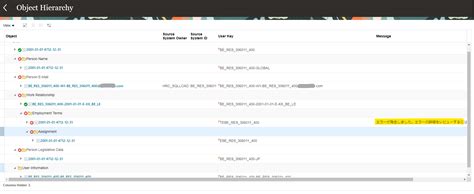 Hdl Issuean Error Occurred To Review Details Of The Error Run The Hcm Data Loader Error