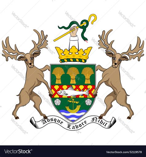 Coat Arms County Down In Ulster Ireland Royalty Free Vector