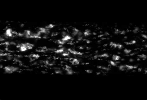 Real Time Visualization Of Platelet Aggregation And Adhesion