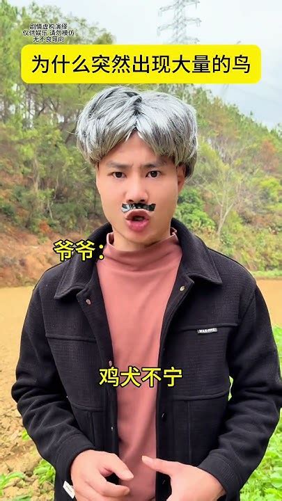 为什么突然会有大量的鸟儿迁徙 迷惑行为 冷知识 万万没想到 内容启发搜索 Youtube