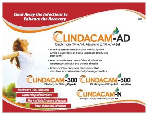 Clindamycin 300mg Capsule At ₹ 450box Clindamycin Capsules In