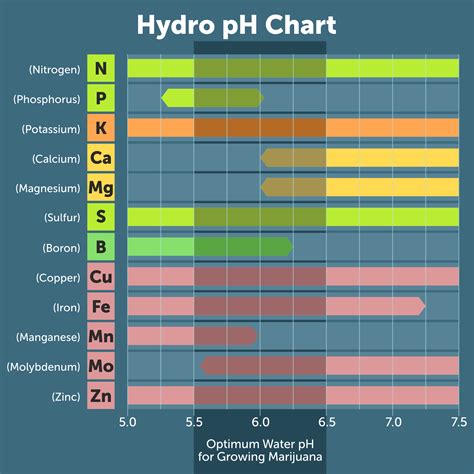 The Art Of Adjusting Ph Levels To Grow Big Fat Cannabis Buds Growdiaries