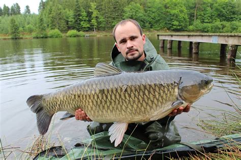 Grass Carp Stocking In Majestic Carp