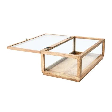 15 Mango Wood And Glass Display Box Michaels
