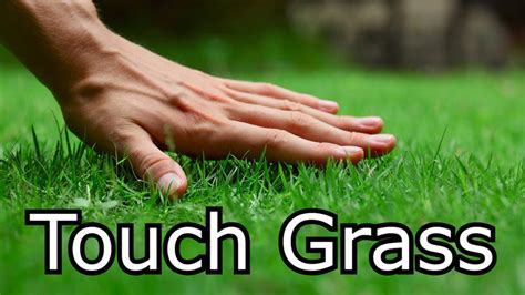 What Does Touch Grass Mean The Slang Term Explained Know Your Meme