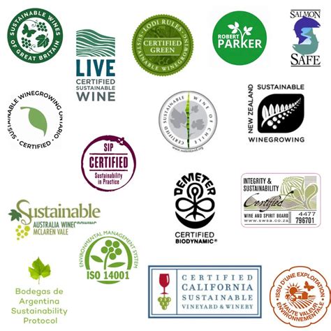 What Is Sustainable Winemaking