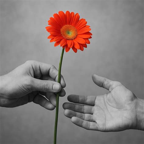 Gratitude Professionalrelationships Linkedinrecommendations Nigel Hilditch