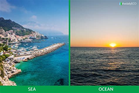 What Is The Difference Between An Ocean And A Sea Sea Vs Ocean