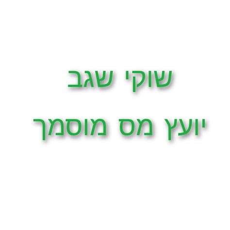 שוקי שגב יועץ מס By Eran Malovani