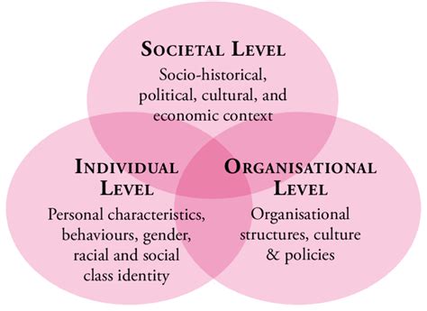 Figure A Meso Level Approach To Women Leadership Download Scientific