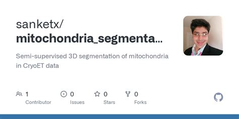 Github Sanketxmitochondriasegmentation Semi Supervised 3d Segmentation Of Mitochondria In
