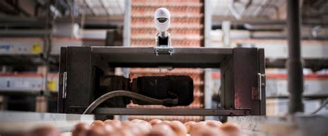 Vision Egg Counter Eggsight® Prism Controls