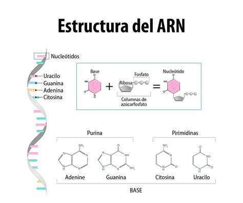 Sintesis