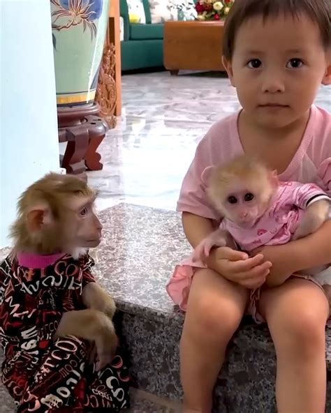 Diem Kissed Monkey Kaka And Monkey Mit Goodbye While Going To School 🥰🥰