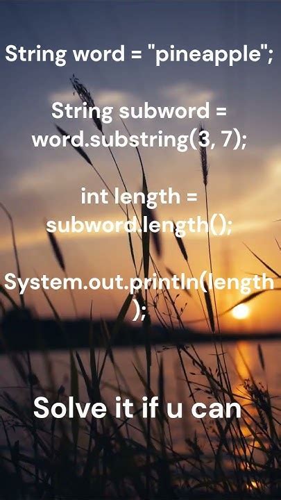 Can U Solve The Output Strings And String Functions Java Coding