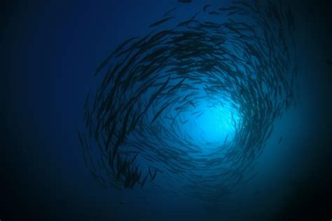 Quarterly Update On Financial Services Regulatory Developments