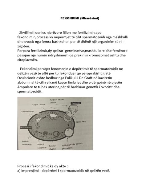 Document For Albanian Class 9th Grafe Pdf