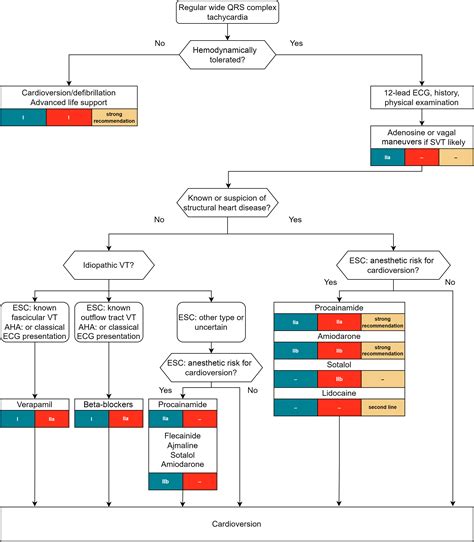 Ventricular Tachycardia Algorithm Esc