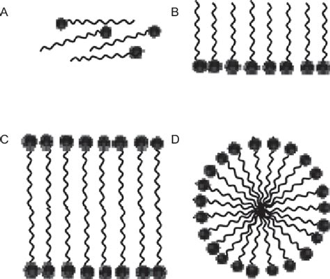 Assembly Of Surfactant Monomer In Different Structures A Isolated
