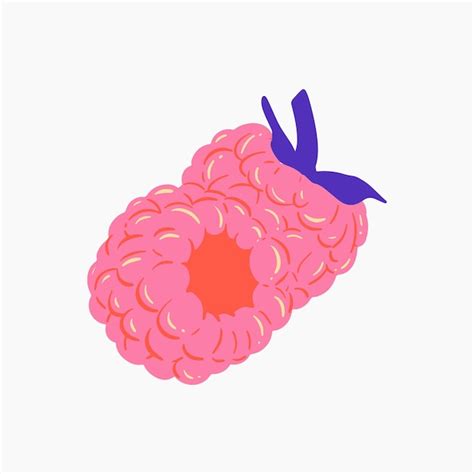 Premium Vector Organic Raspberry Illustration