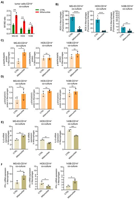 Mifamurtide Triggers Mapk And Stat3 Signaling Pathways Only In