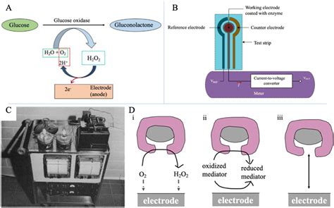 Optical Blood Glucose Sensor At Chad Espinoza Blog