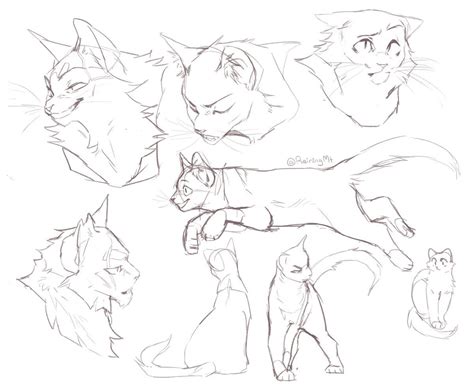 Pin By Hayley On Cats Warrior Cat Drawings Cats Art Drawing Warrior