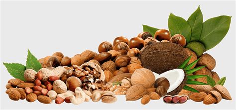 Variety Of Nuts Mixed Nuts Almond Hazelnut Nut Cluster Healthy